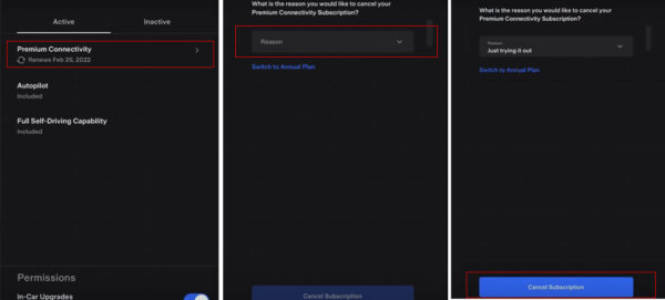 Tesla Premium Connectivity Full Reviewand Installtion